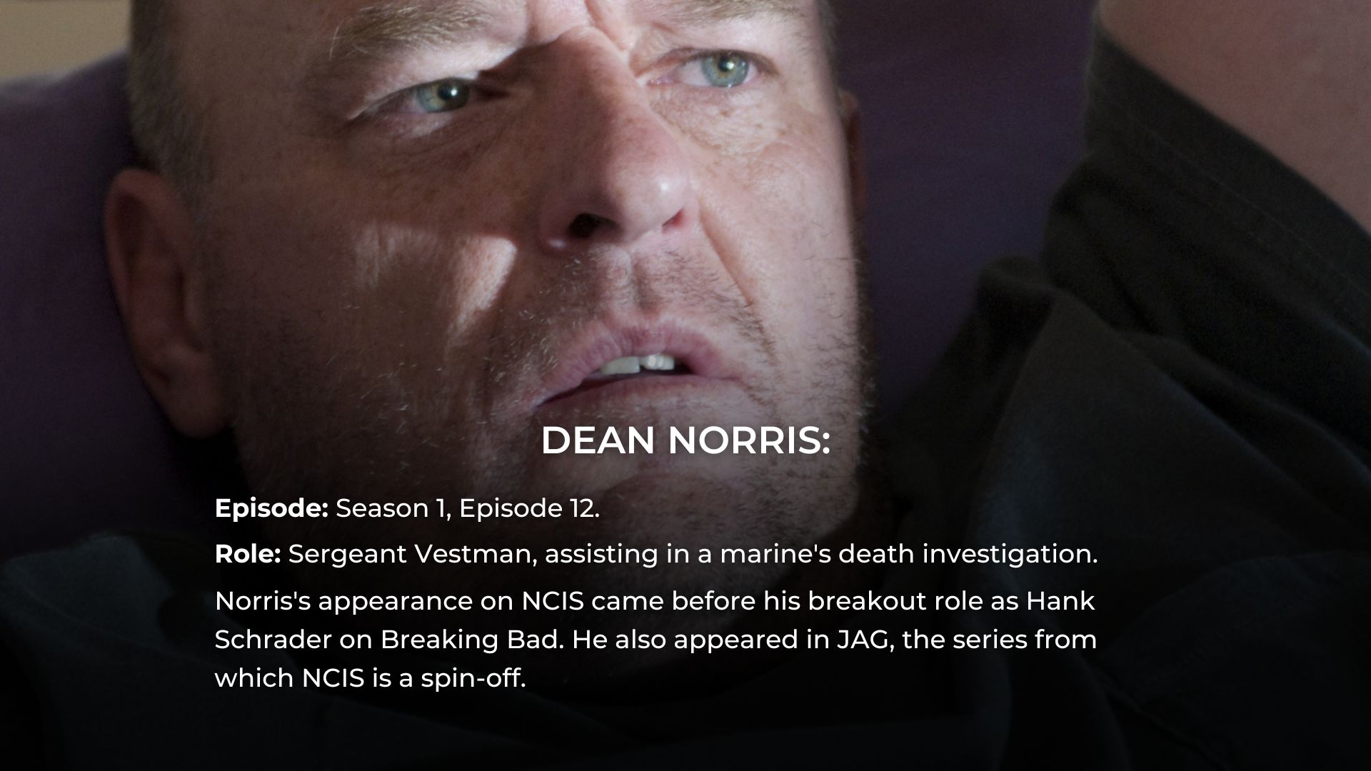 Most Unforgettable Celebrity Cameos in NCIS, Ranked