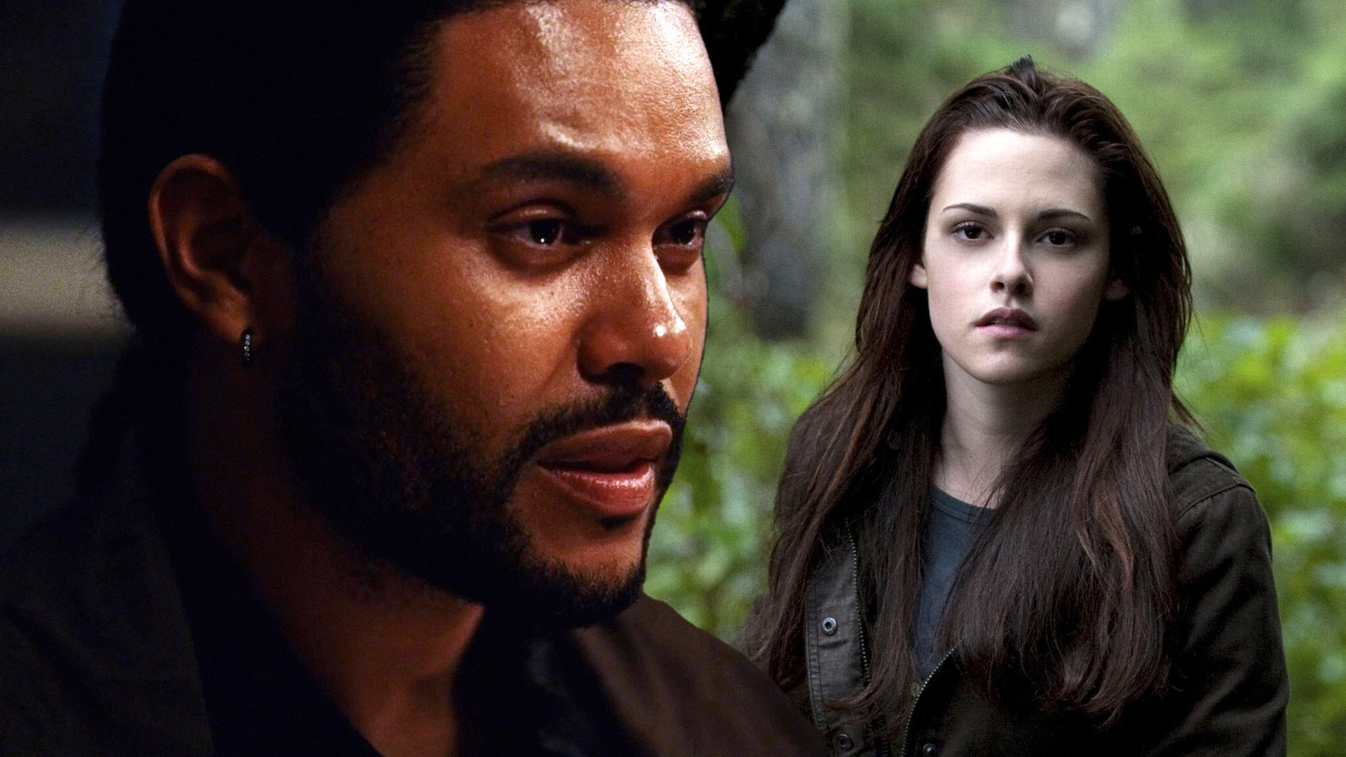 The Idol Getting Twilight Treatment is the Funniest Thing About It