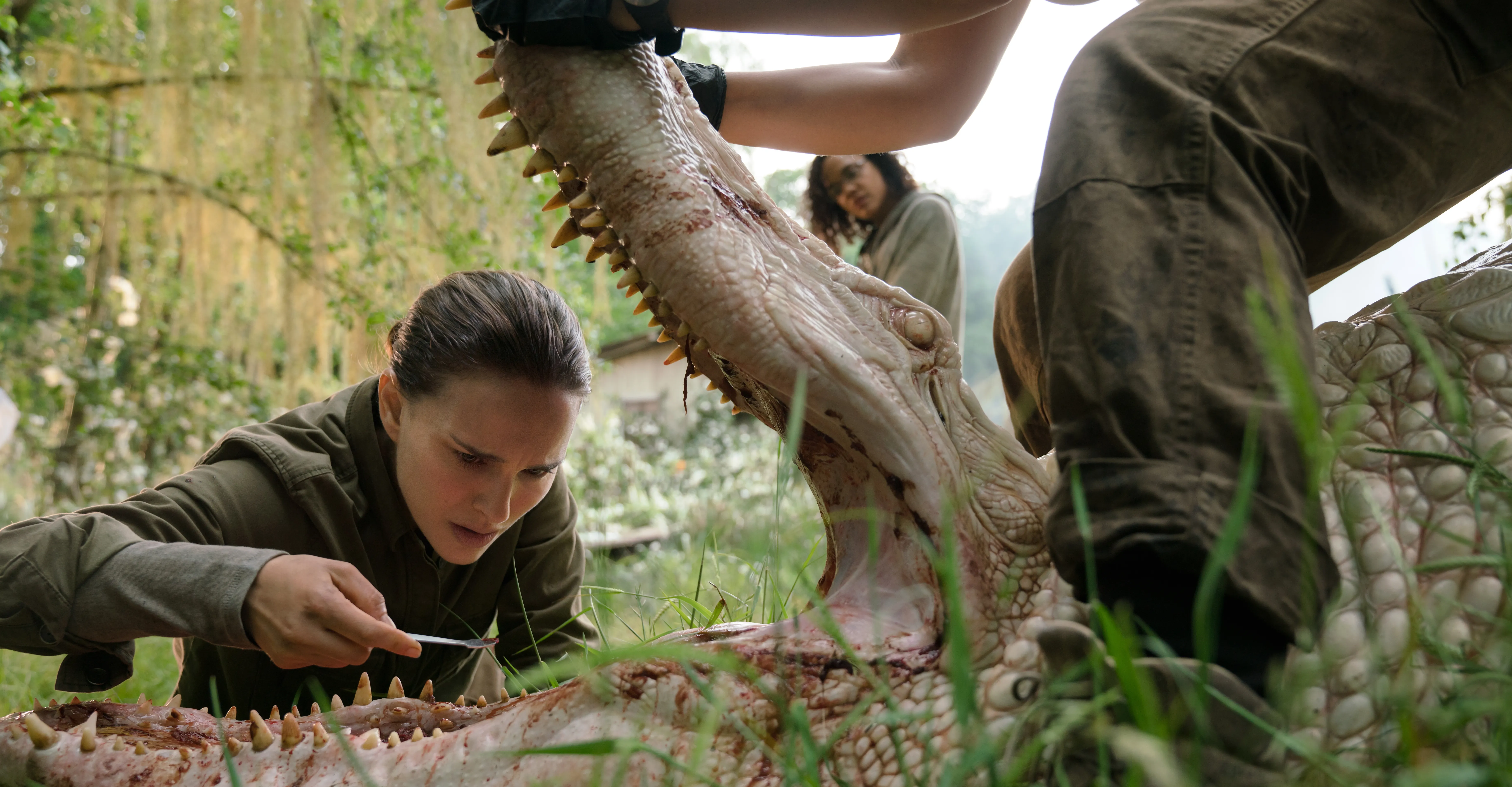 Annihilation and 4 Other Sci-Fi Movies With the Most Confusing Finales
